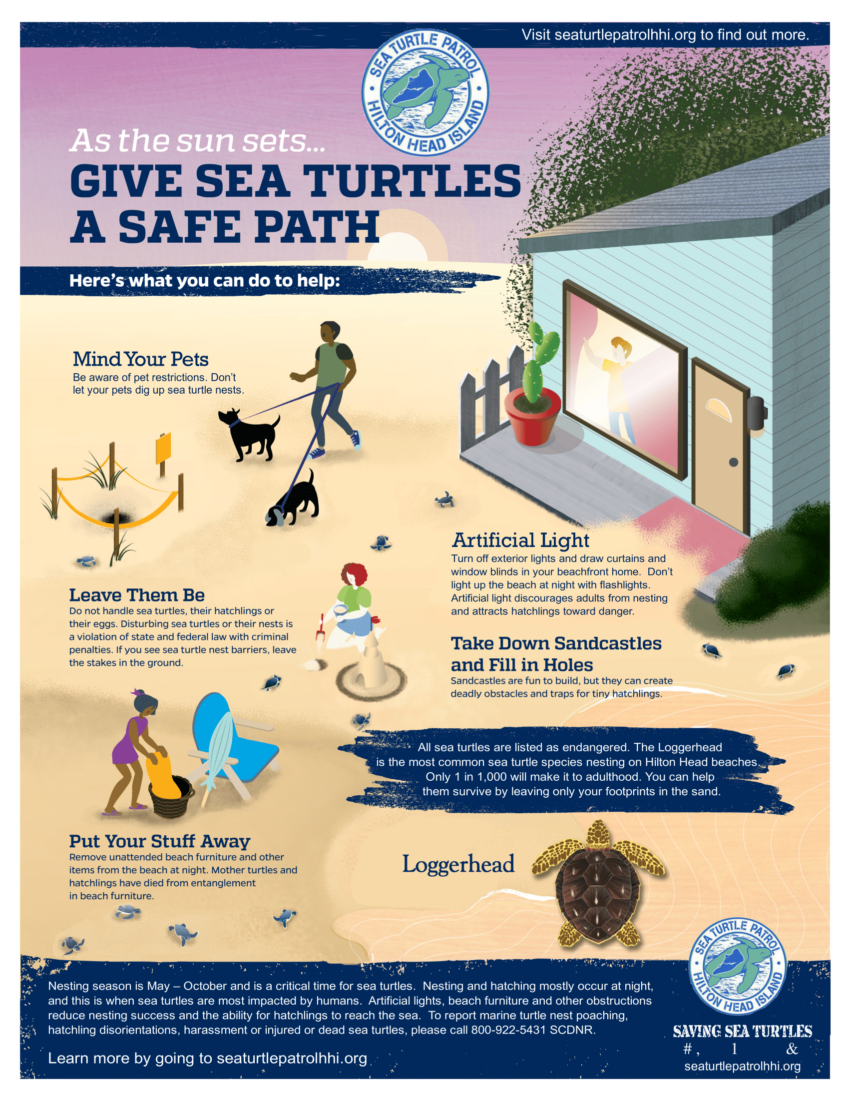 Sea Turtle Nesting Season on Hilton Head Island | Hilton Head Island ...